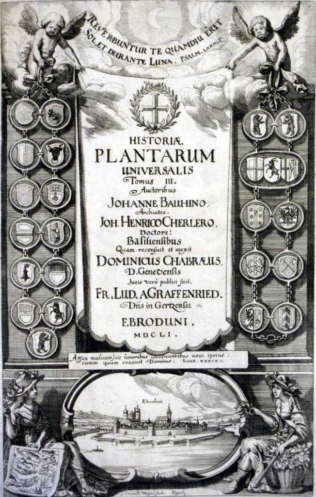Jean Bauhin | Botany